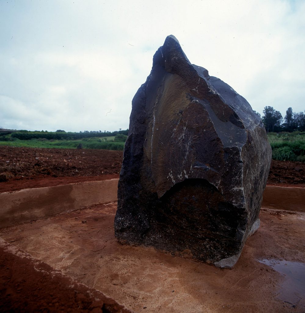Matacão – Nuno Ramos