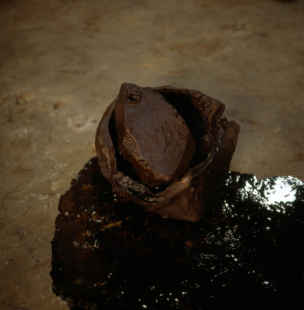 Afogadas – Nuno Ramos